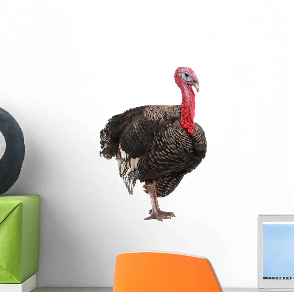 Turkey Wall Decal Sticker by Wallmonkeys Vinyl Peel and Stick Graphic ...
