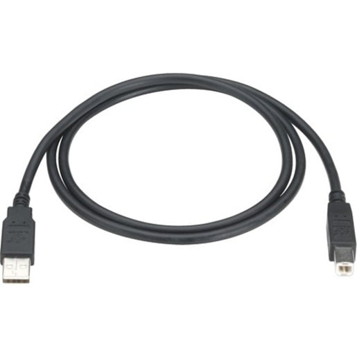 BlackBox USB05-0010 USB 2.0 Cable - Type A Male to Type B Male, Black ...