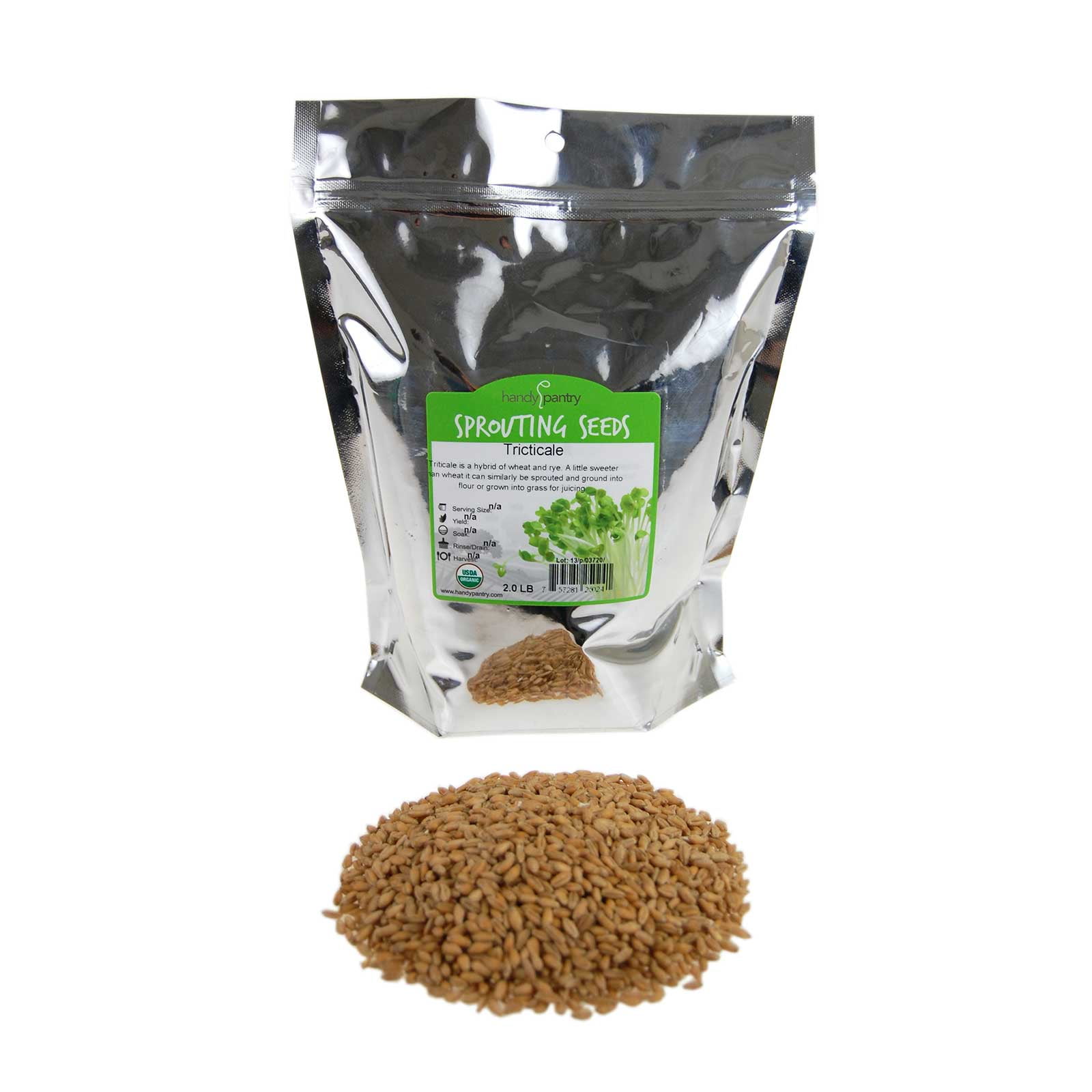 Organic Triticale Seeds- 2 Lbs- Triticale Grain Seed: Sprouting Sprouts ...