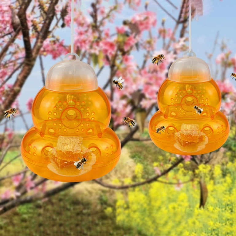 Wasp Trap