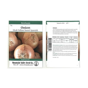 Onion Seeds - Eclipse L303 - 1 g Packet ~300 Seeds - Allium cepa - Farm ...