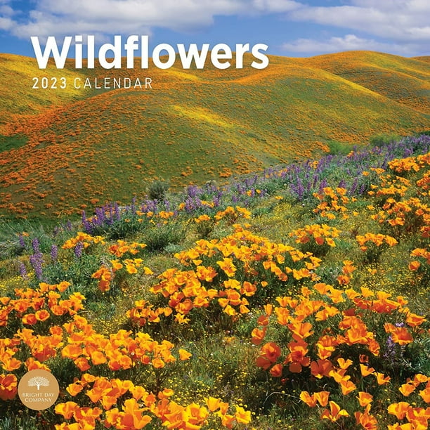 2023 Wildflowers Monthly Wall Calendar by Bright Day, 12 x 12 Inch ...