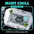 Flushable Travel Pack - 6 Pack, 108 Count - Mint Chill Extra-Large ...