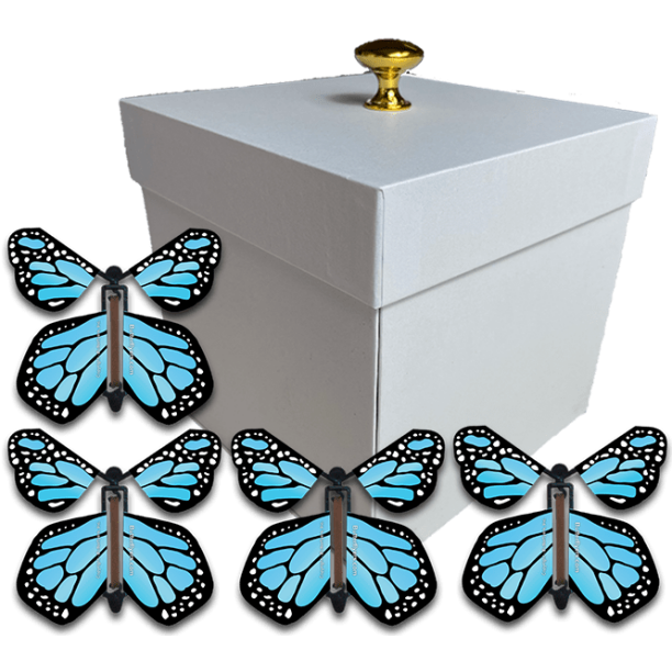 Flying Butterfly Gift Box