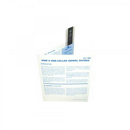 American Educational Products T-104 DI-Microslide-How Animal Cell ...