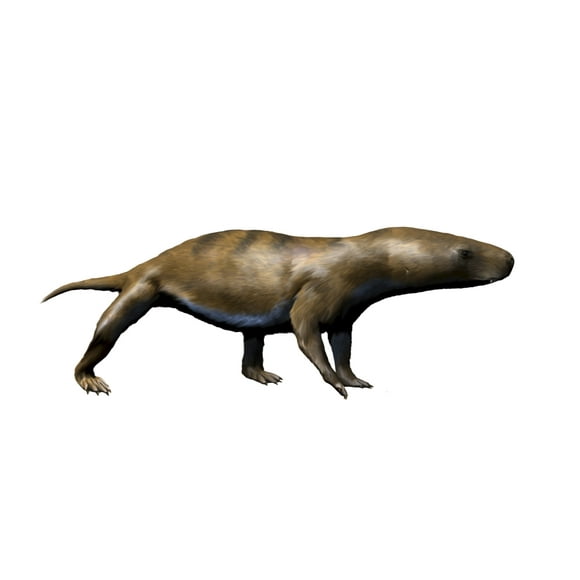 Therapsid