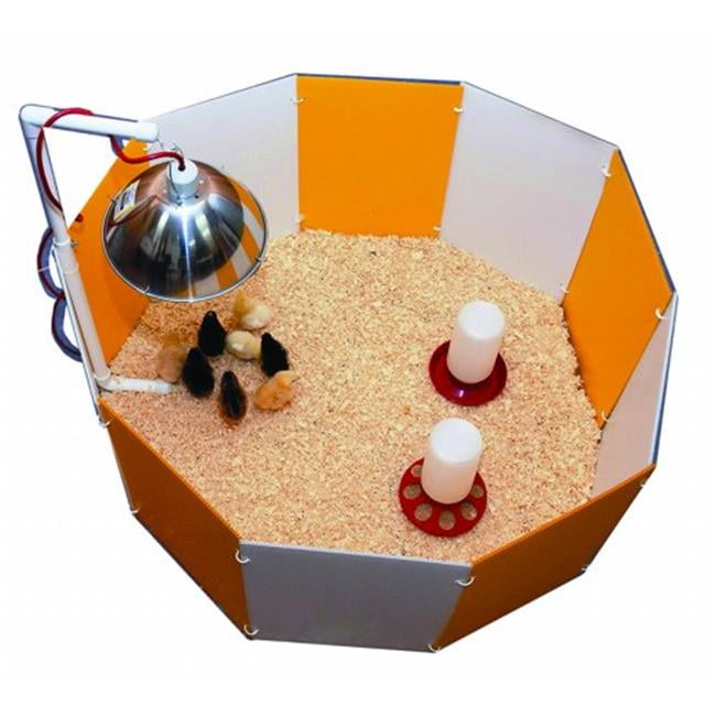 Baby Chick Starter Home Orange & White 3700 - Walmart.com - Walmart.com