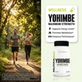 NutraBio Wellness Yohimbe 100mg, 90 Vegetarian Capsules, Lactose Free ...