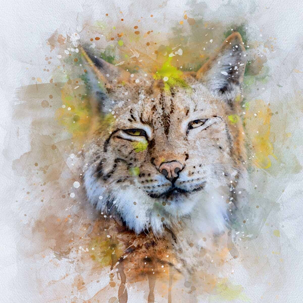 Bobcat - CANVAS OR PRINT WALL ART - Walmart.com