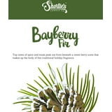 Bayberry Fir All Natural 3 Wick Candle - Made with Responsibly Sourced ...