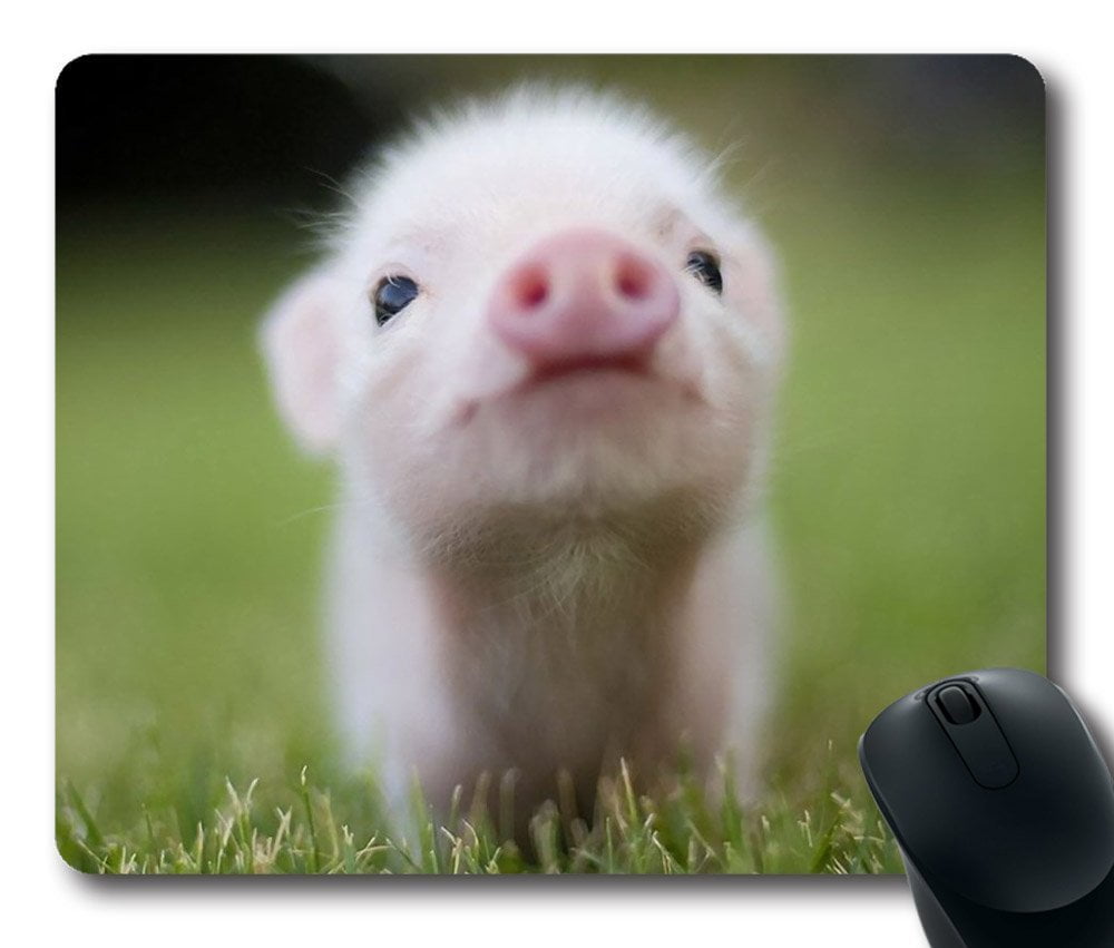 POPCreation Pig Mouse pads Gaming Mouse Pad 9.84x7.87 inches - Walmart.com
