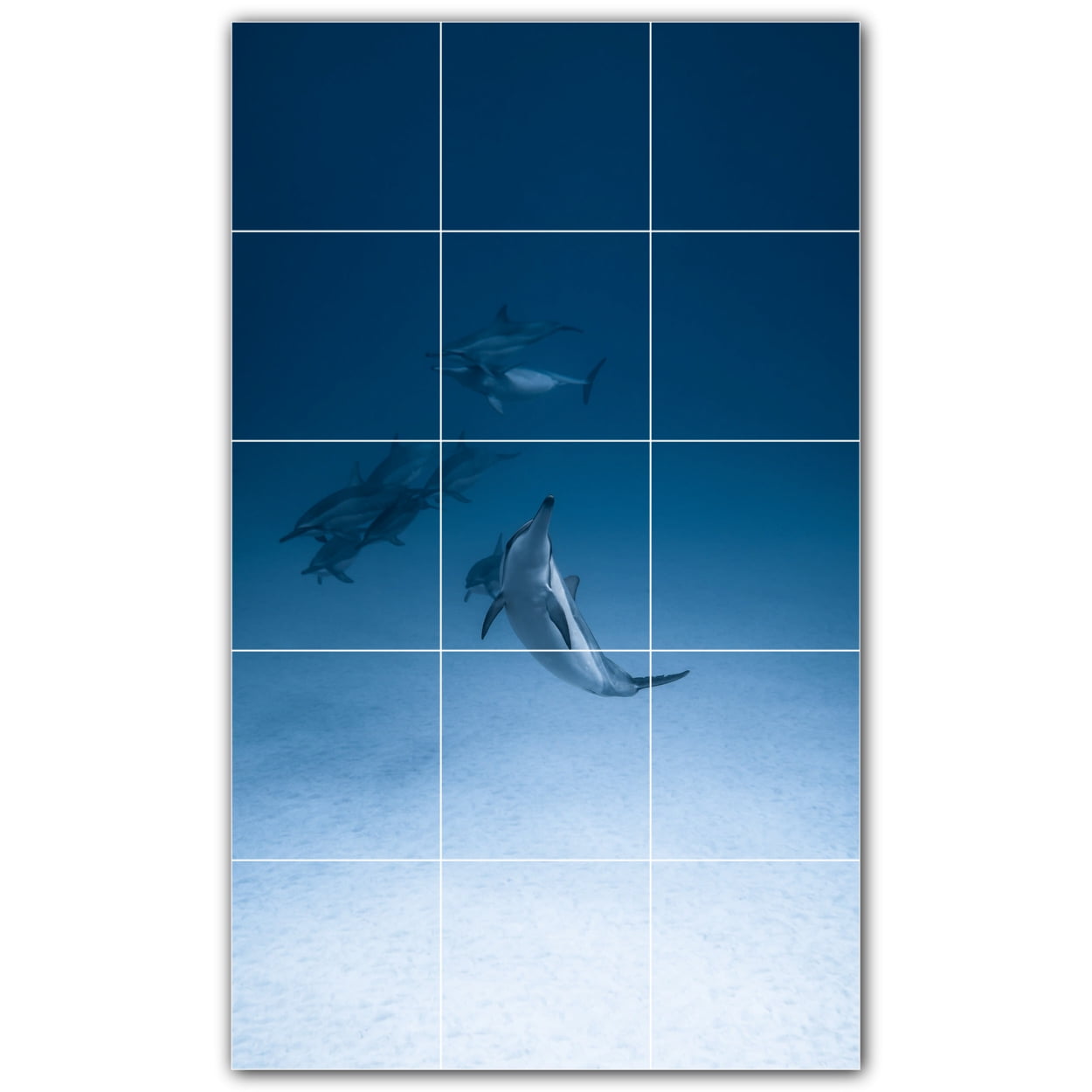 Picture-Tiles.com: Dolphin Ceramic Tile Wall Mural WAL500513-35XL. 36"W ...