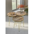 Walnut Nesting Coffee Tables 3 PCS,Round Side Table With Gold 3-Rod ...