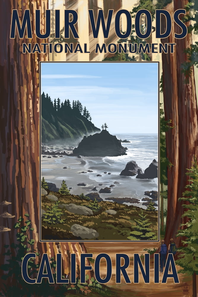 Muir Woods National Monument, California, Trees and Ocean (16x24 Giclee ...