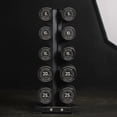 Titan Fitness 5 Pair Vertical Dumbbell Rack, Tower or A-Frame ...