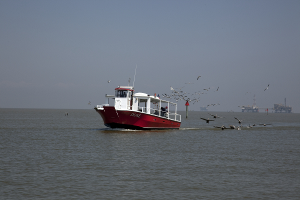 Print: Ferries, Boats And Oil Rigs All Co-Exist On Mobile Bay In ...