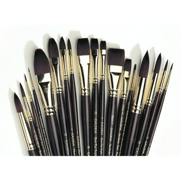 Beginner Paint Brush Set, 24/Pack - Walmart.com