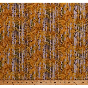Cotton Autumn Trees Woods Forest Leaves Fall Color Tour Landscape ...