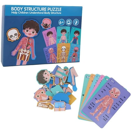 Wooden Puzzles for Toddlers, Children Human Body Organ Structure ...