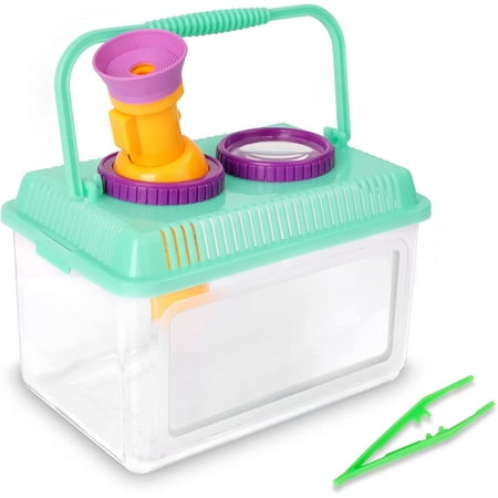 Insect viewer box, insect observation box, magnifying glass insect ...