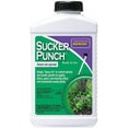 Bonide Products Ready to Use Sucker Punch for Trees, Stops Sprouting ...