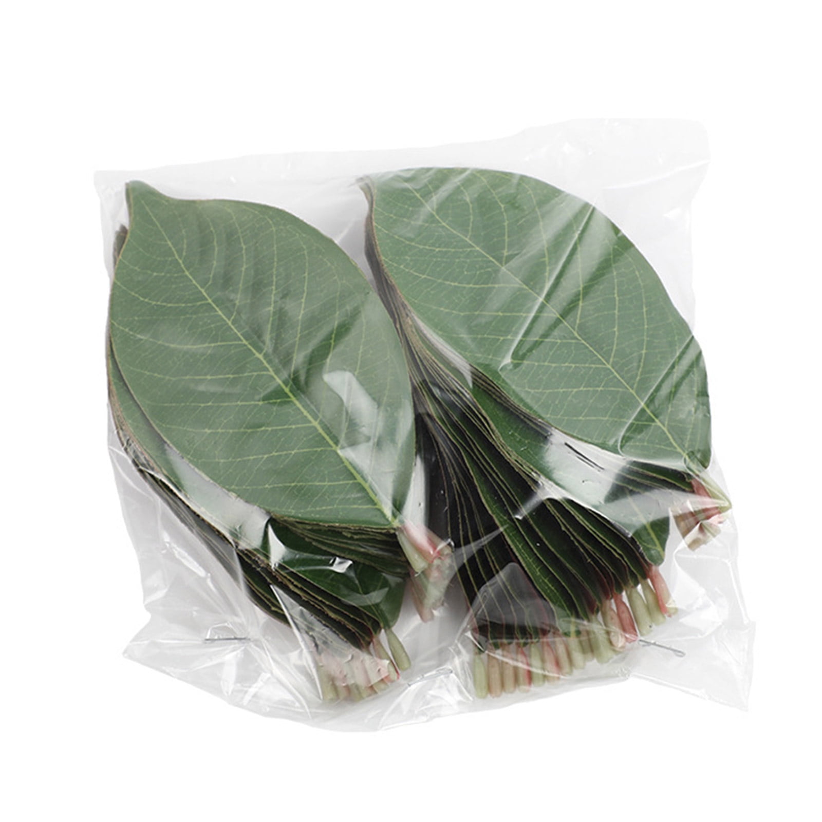 BYDOT Magnolia Leaves Artificial Greenery Fake Magnolia Leaves for DIY ...