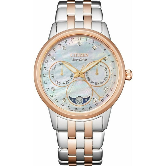 Citizen Eco Drive Wrist Watches | Walmart Canada