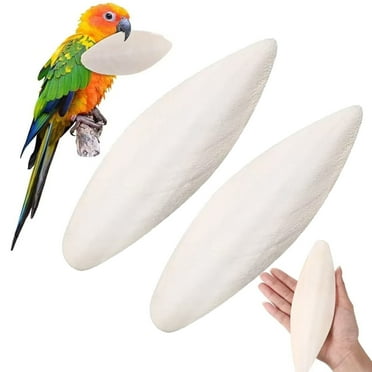 Cuttlefish Bone(9 12cm) Cuddle Bone for Birds Birds Parrots Chewing ...