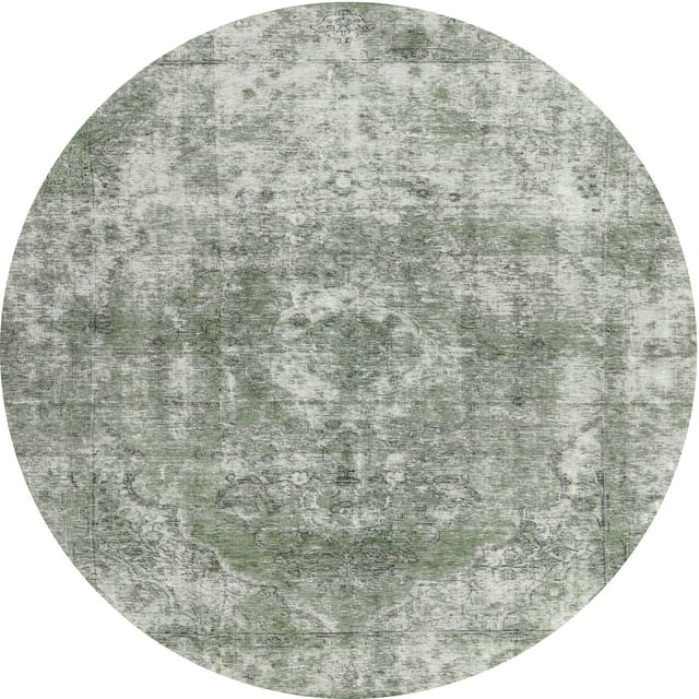 Ahgly Company Indoor Round Contemporary Sage Green Abstract Area Rugs ...