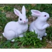 Design Toscano Hopper, The Bunny, Standing Garden Rabbit Statue ...