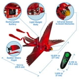 Zing Go Go Flying Dragon-Remote Control Flying Toy, Great Starting RC ...