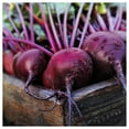 Everwilde Farms - 200 Detroit Dark Red Beet Seeds - Gold Vault Jumbo ...