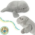 Morgan The Manatee - 21 Inch Stuffed Animal Plush - Walmart.com