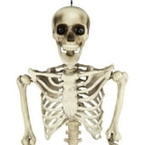 5' Spooky Life Size Skeleton Indoor/Outdoor Halloween Decoration ...