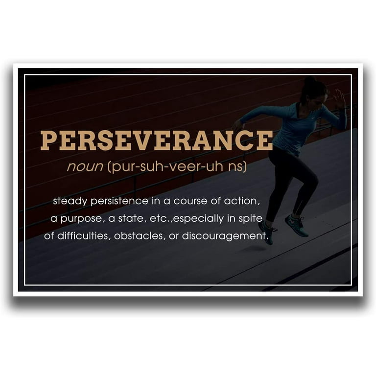 Persevere Definition