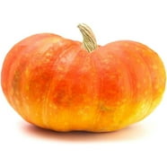 White Warty Specter Pumpkin Seeds for Planting (10 Seeds) - White ...