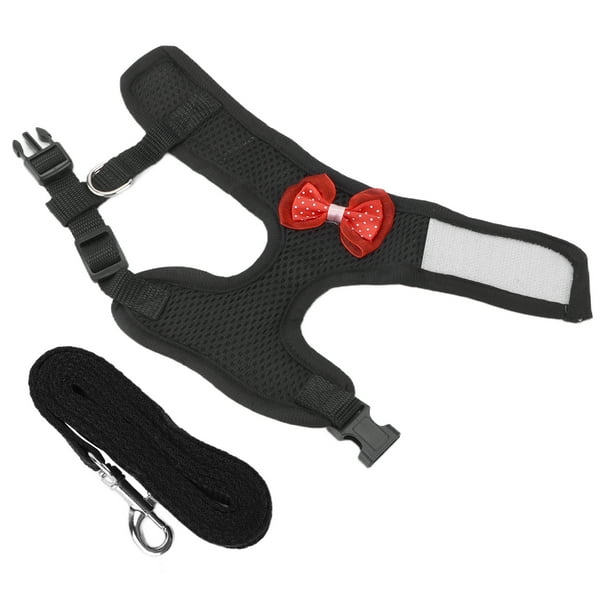 Pet Chicken Supplies,Adjustable Chicken Harness and Adjustable Chicken ...