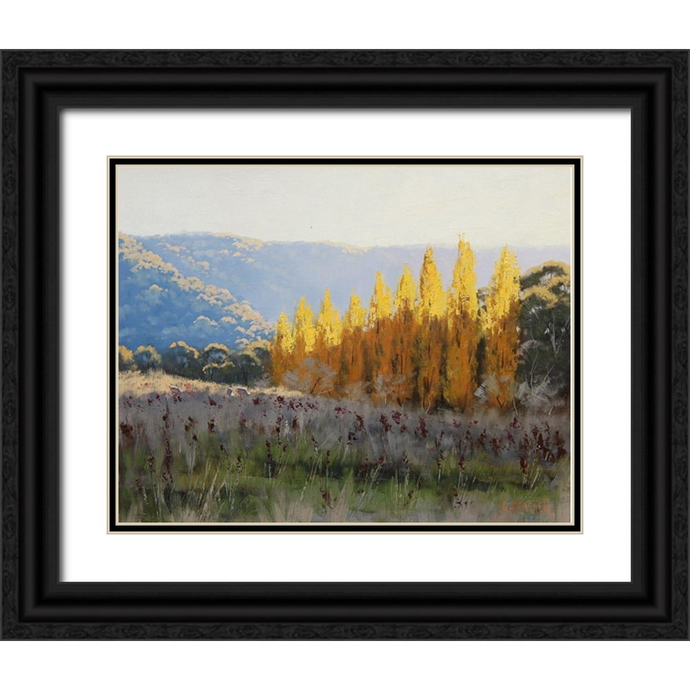 Gercken, Graham 18x15 Black Ornate Wood Framed with Double Matting ...