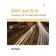 Ospf and Is-Is : Choosing an Igp for Large-Scale Networks: Choosing an Igp for Large-Scale ...