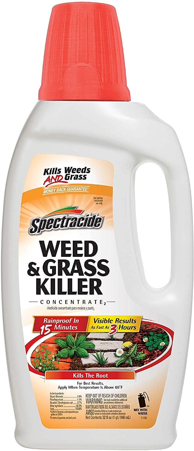 Spectracide Weed & Grass Killer Concentrate2, 32-Ounce, 6-Pack ...