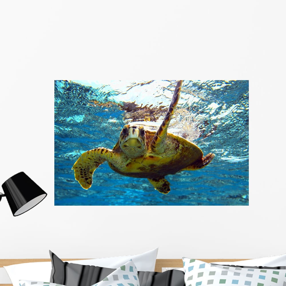 Sea Turtle Wall Mural by Wallmonkeys Peel and Stick Graphic (36 in W x ...