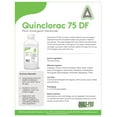 Control Solutions Quinclorac 75 DF Herbicide, Crabgrass Killer, Selective Turf Weed Control, 1 ...