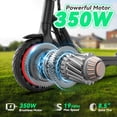 Electric Scooter for Adults, Folding E Scooter with Dual Braking, 350W ...