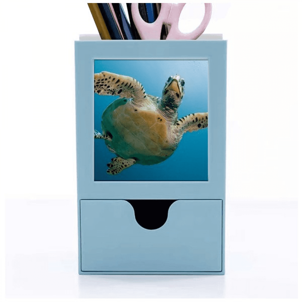 Ocean Blue Water Turtle Science Nature Picture Desk Supplies Organizer ...