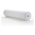 Whole House Water Sediment Filter 4.5" x 20" - 1 Micron (2 Pack ...