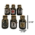 Pack Of 6 Ceramic Magic Voodoo Apothecary Mad Doctor Potion Bottles Props - Walmart.com