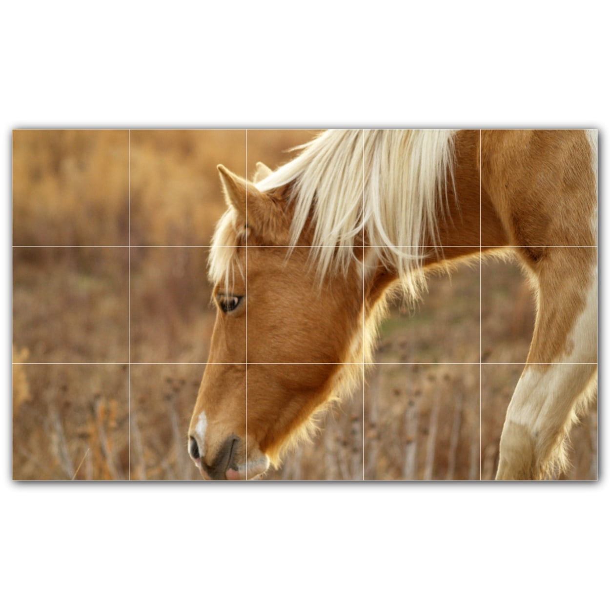 Picture-Tiles.com: Horse Ceramic Tile Wall Mural WAL500758-53XL. 60"W x ...