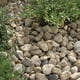 Pavestone .5 Cu. ft. Bagged Rock Pond Pebbles - Walmart.com