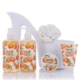 Draizee Heel Shoe Spa Gift Set Citrus Scented Bath Essentials Gift ...