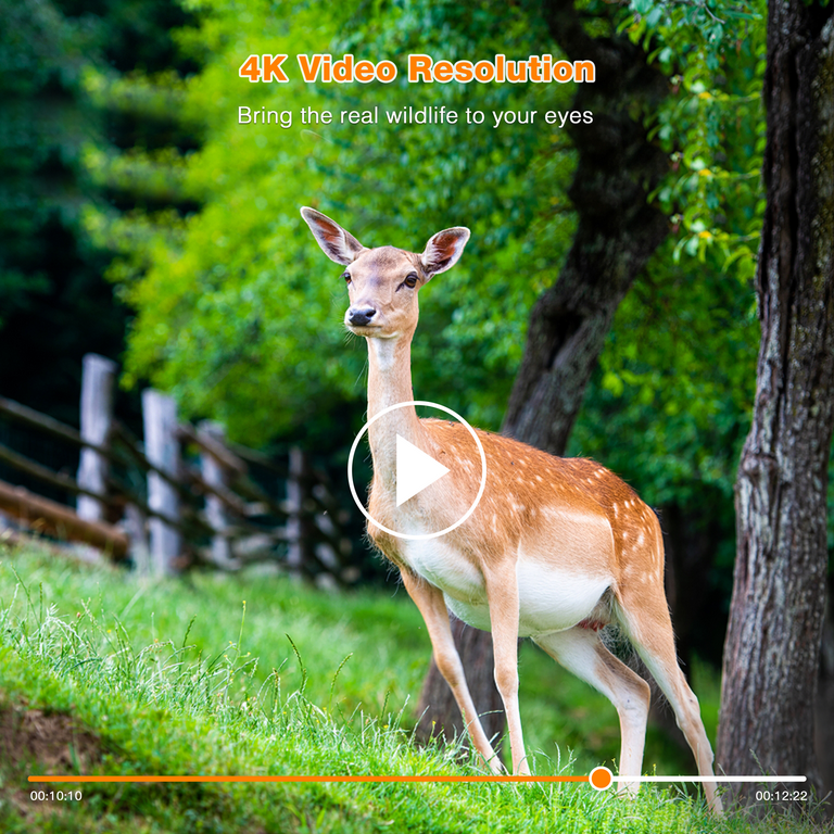 Deer Motion Sensor Camera
